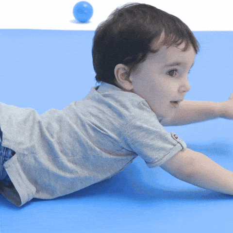Rodar Babysec GIF - Find & Share on GIPHY