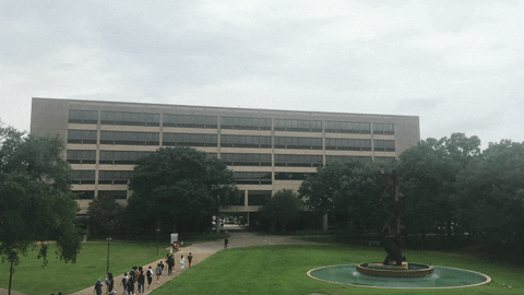 University Of Houston GIF - Find & Share on GIPHY