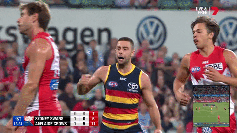 Afl Celebrate GIF by Adelaide Crows - Find & Share on GIPHY