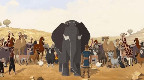 King Solomon Orchard Films GIF by 1091 - Find & Share on GIPHY