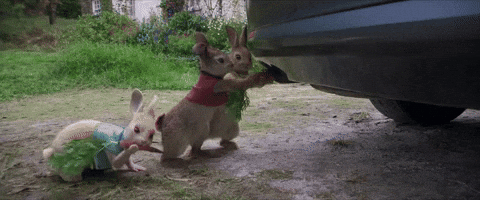 Peter Rabbit GIF - Find & Share on GIPHY
