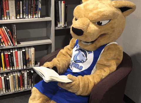 College Mascot GIF by Wheaton College (MA) - Find & Share on GIPHY
