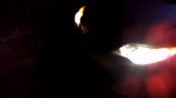 Blinkers GIFs - Get the best GIF on GIPHY