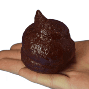 Everything Poop GIF - Find & Share on GIPHY