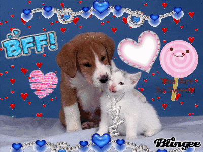 Bff GIF - Find & Share on GIPHY