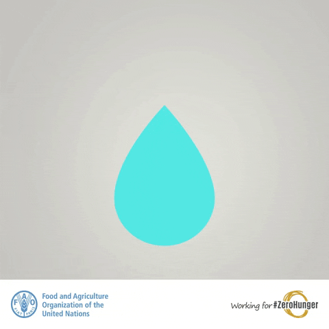 Water Scarcity GIFs - Find & Share on GIPHY