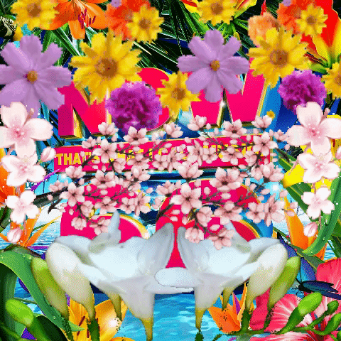 NOW That's Music GIFs - Find & Share on GIPHY