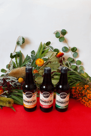 Remedy Drinks GIFs - Find & Share on GIPHY