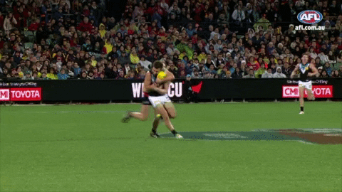 Afl Memories GIF by Adelaide Crows - Find & Share on GIPHY