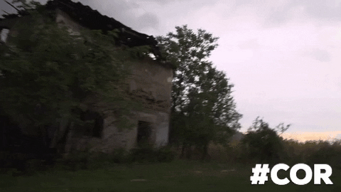 House Bosnia GIF by VYDY.TV - Find & Share on GIPHY
