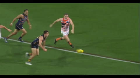 Afl GIF by Adelaide Crows - Find & Share on GIPHY