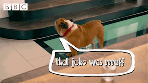 Dog Joking GIF by CBBC - Find & Share on GIPHY