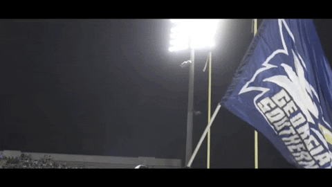 Eagles Gata GIF by Georgia Southern Athletics - Find & Share on GIPHY