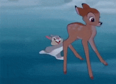 Reverse Animal Rescue GIFs - Find & Share on GIPHY