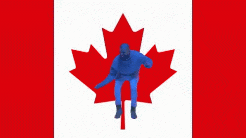 Happy Canada Day GIFs - Get the best GIF on GIPHY