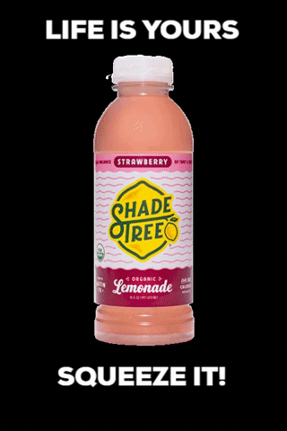 Austin Lemonade GIF by ShadeTreeLemonade - Find & Share on GIPHY
