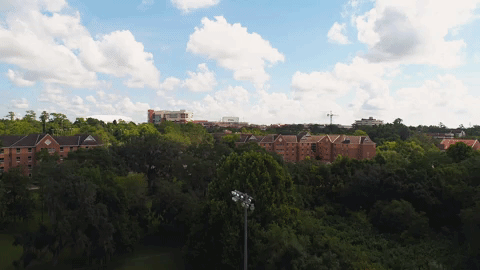 GIF by University of Florida - Find & Share on GIPHY
