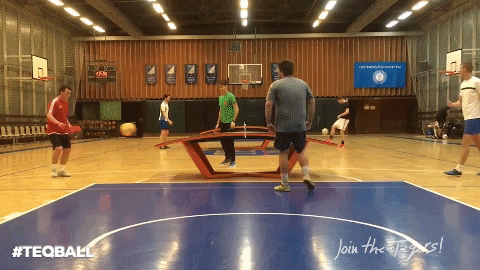 Hungary Teqball GIF - Find & Share on GIPHY