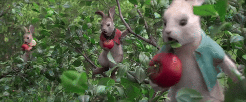 Peter Rabbit GIF - Find & Share on GIPHY