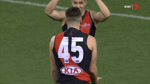 Sport Afl GIF by Essendon FC - Find & Share on GIPHY