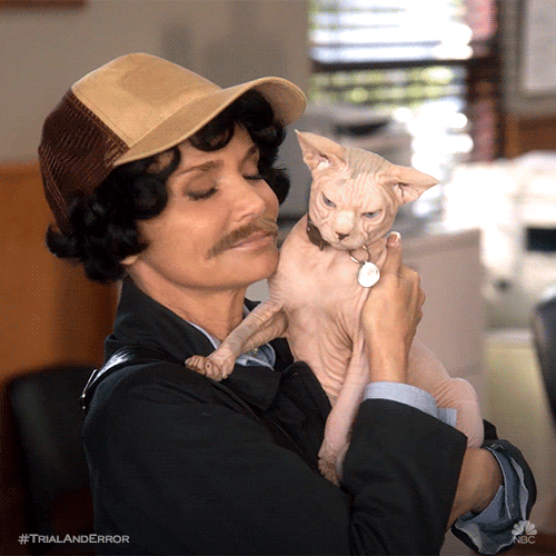 Best Friends Cat By Nbc Find And Share On Giphy