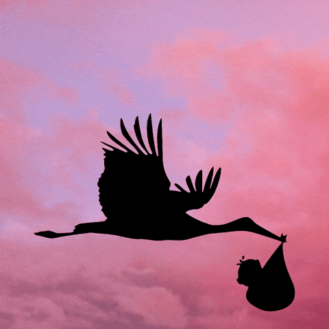 Baby Flying GIF - Find & Share on GIPHY