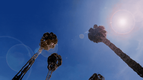 Look Up Sub Pop GIF by Sub Pop Records - Find & Share on GIPHY