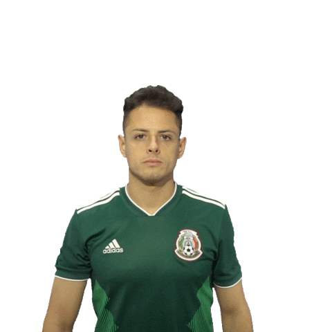 Celebrate Come On Sticker by MiSelecciónMX for iOS & Android | GIPHY