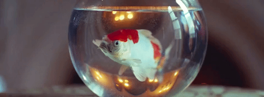 Whipped Cream GIF by Ari Lennox - Find & Share on GIPHY