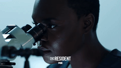 Concentrating The Resident GIF - Find & Share on GIPHY