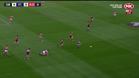 2018 Season Football GIF by AFL - Find & Share on GIPHY