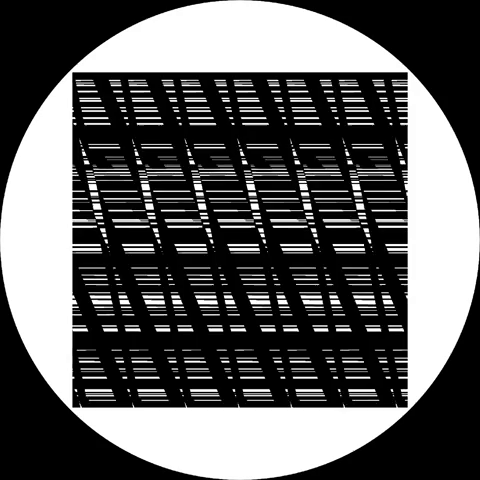 Black And White Creative Coding GIF by partyonmarz - Find & Share on GIPHY
