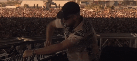 Coachella 2019 GIF by FISHER - Find & Share on GIPHY