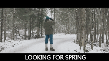 Winter Waiting GIF by Birthmarked - Find & Share on GIPHY