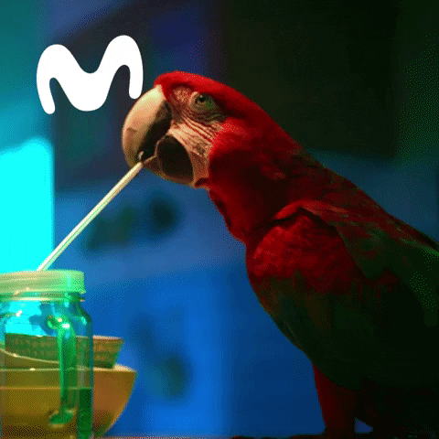 Fail Hola Que Tal GIF by Movistar España - Find & Share on GIPHY