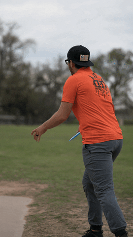 Drive GIF by Dynamic Discs - Find & Share on GIPHY