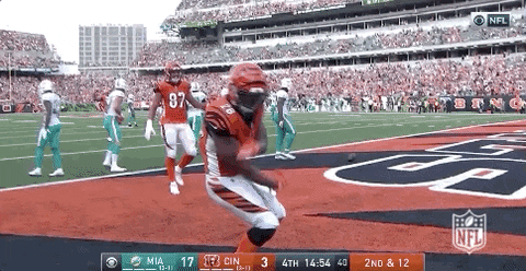2018 Nfl Football GIF by NFL - Find & Share on GIPHY