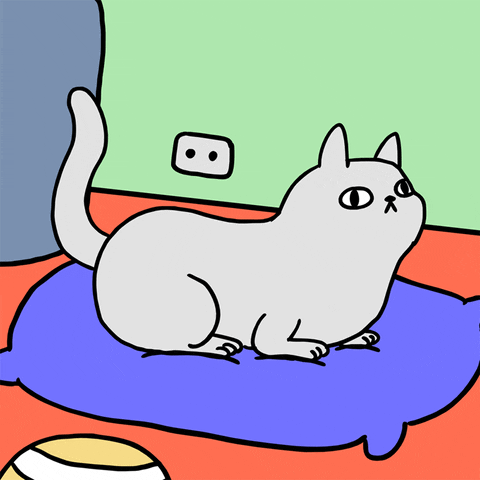 Go Away Cat GIF by Percolate Galactic - Find & Share on GIPHY