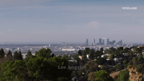 Los Angeles La GIF by SLUTEVER - Find & Share on GIPHY