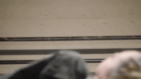 Back Bend GIF by Chicago Dance Crash - Find & Share on GIPHY