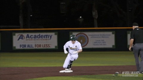 Baseball Wave GIF by GreenWave - Find & Share on GIPHY