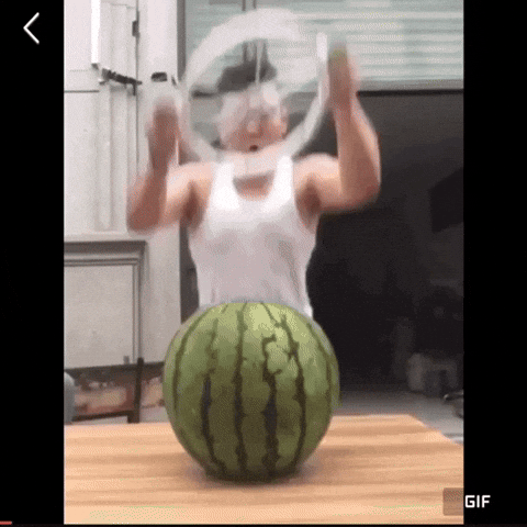 Watermelon Lol GIF by Demic - Find & Share on GIPHY