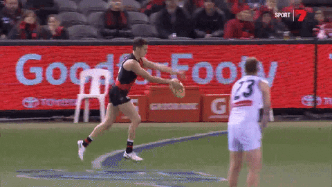 Sport Celebration GIF by Essendon FC - Find & Share on GIPHY
