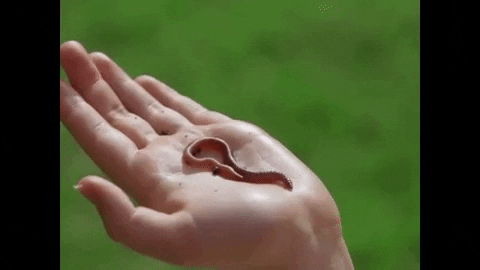 Life Hand GIF by nettwerkmusic - Find & Share on GIPHY