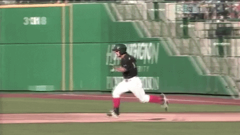 Baseball Slide GIF by Fort Wayne TinCaps - Find & Share on GIPHY
