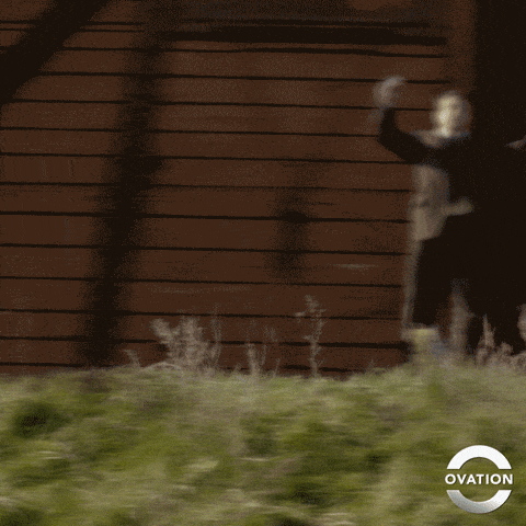 Roll Down Hill GIFs - Get the best GIF on GIPHY