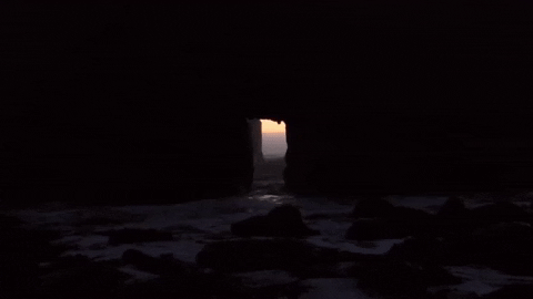 Bay Area Dark GIF by Chris - Find & Share on GIPHY