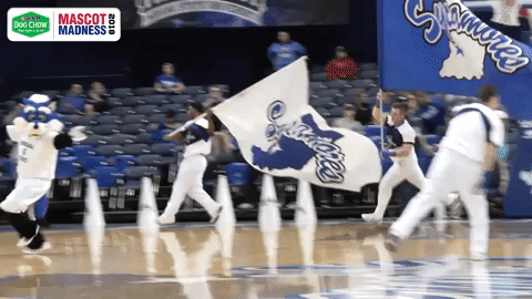 Mvc Mvcmascotmadness GIF by Missouri Valley Conference - Find & Share ...