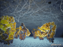 Immune System Blood GIF - Find & Share on GIPHY