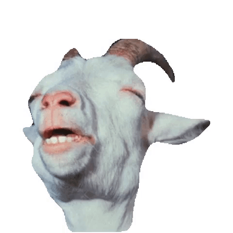 GIF by Random Goat - Find & Share on GIPHY